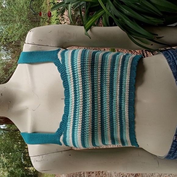 wild fable | Tops | Nwot Wild Fable Bluetan Stripped Crochet Crop Top ...
